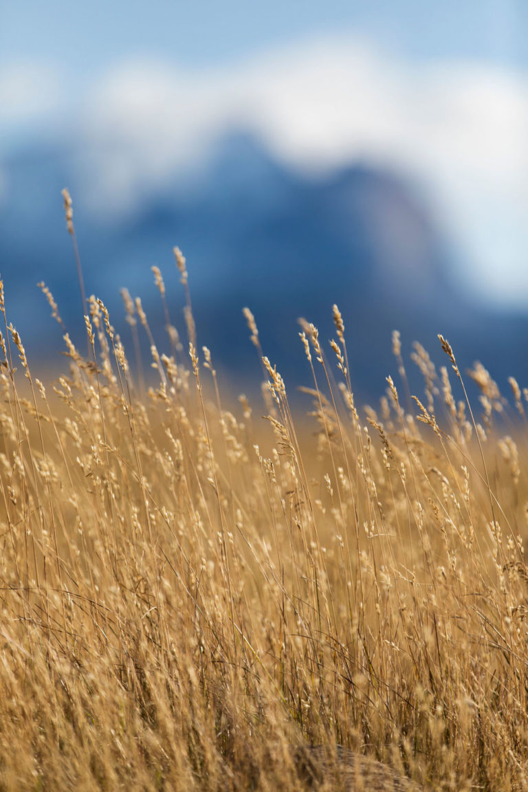 We are children of promise - Daily Bible Verse