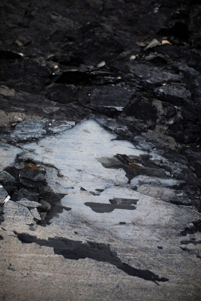 Little Children: Abide in the light, love your brethren - Daily Bible Verse