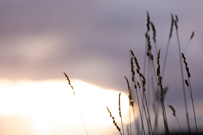 Little Children: You are righteous and cannot sin - Daily Bible Verse