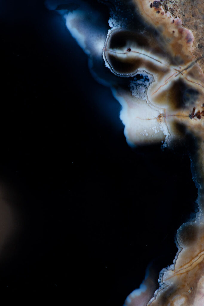 The wisdom of this world is foolishness - Daily Bible Verse