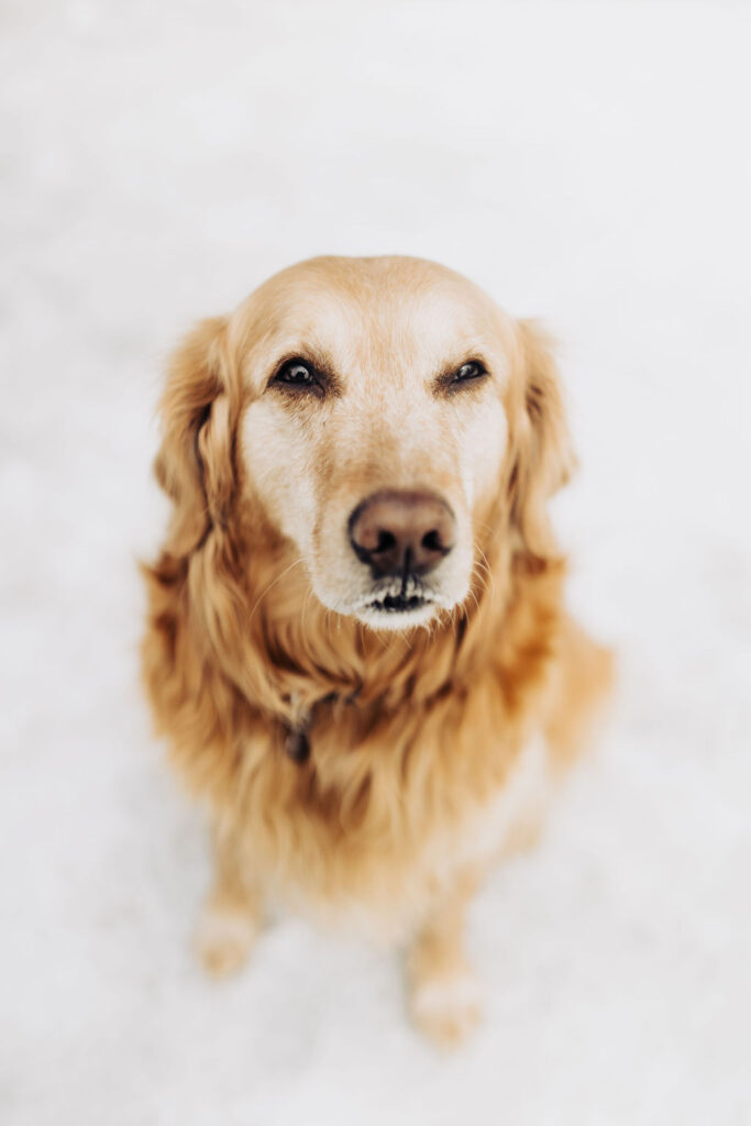 654. Wisdom dwells within us - Daily Bible Verse