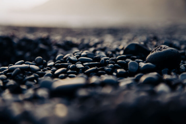739. We can live in the newly created body - Daily Bible Verse