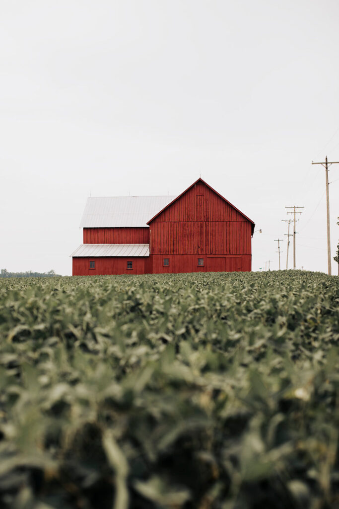 900. Stand firm in the liberty that God gave you and Jesus Christ died ...