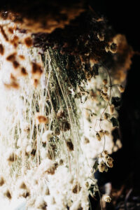 911. You are justified, therefore build that relationship - daily bible ...