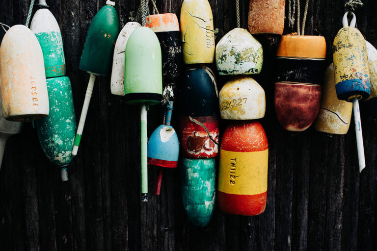 1095. You hath been chosen - daily bible verse - Daily Bible Verse