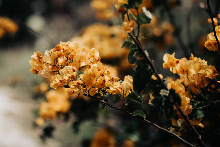 1147. Reconnect to God - daily bible verse - Daily Bible Verse