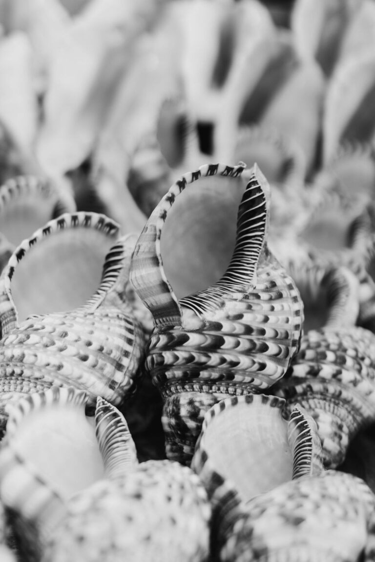 1153. Learn to live in a state of peace - daily bible verse - Daily ...