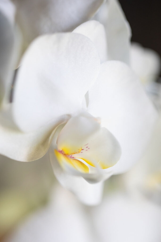 1420. God's spoken word - daily bible verse - Daily Bible Verse